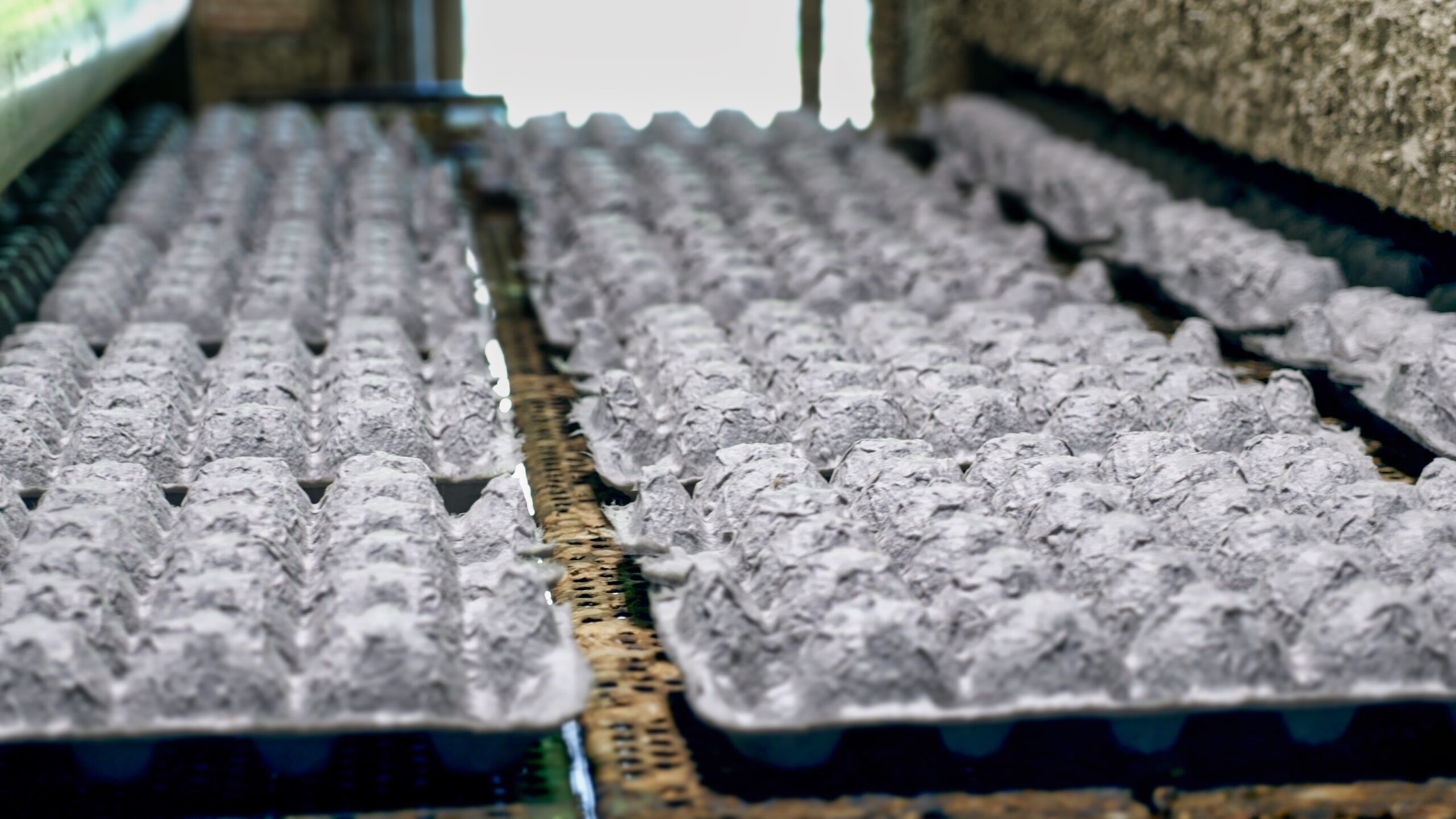 Sustainable Molded Fiber Packaging | LEI Packaging